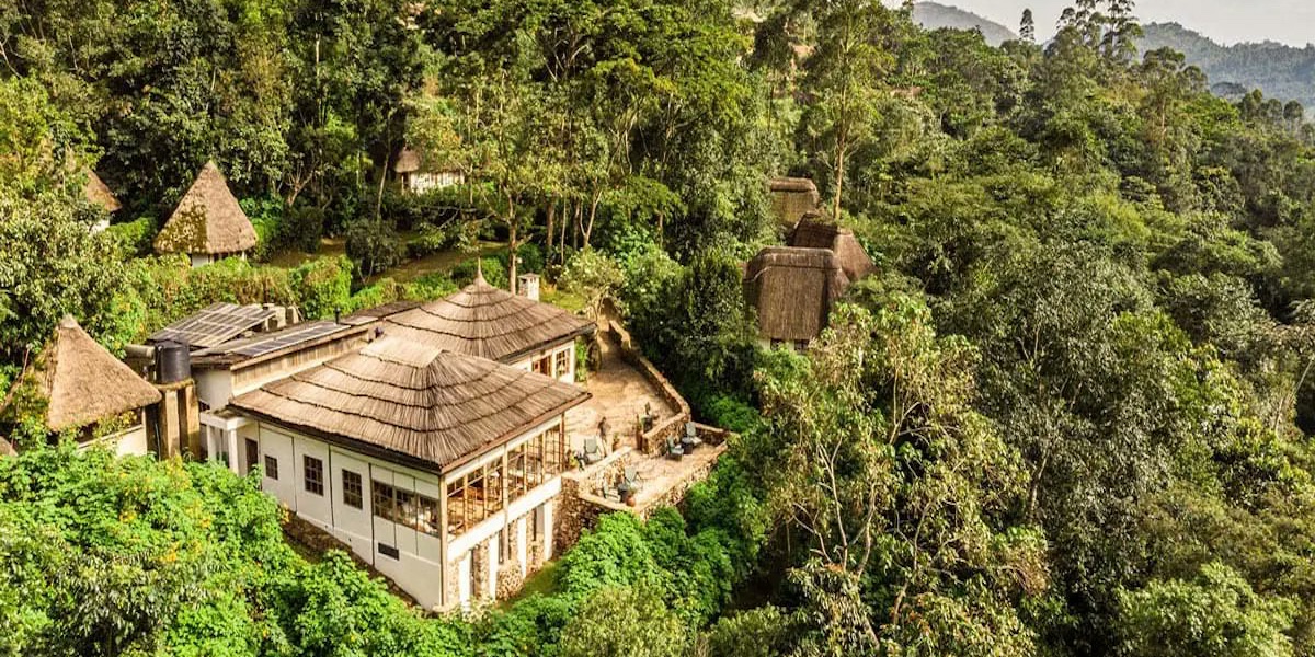 Bwindi Lodges: Your Info Guide About Accommodation in Bwindi